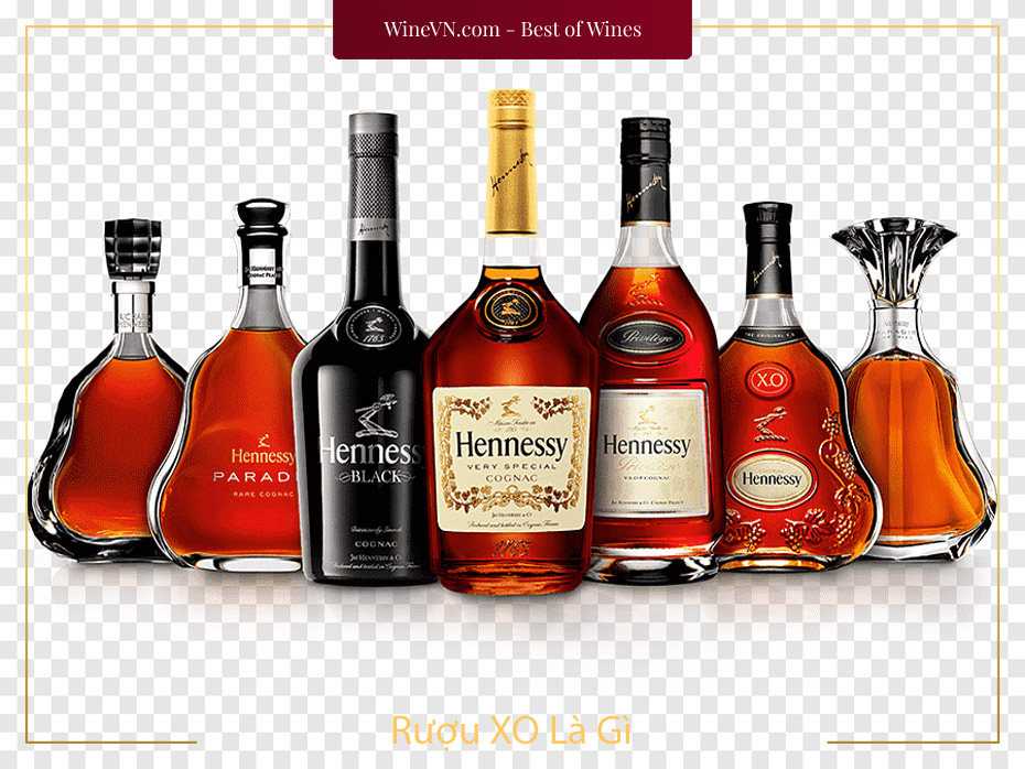 Rượu XO Nhập Khẩu - Chính Hãng 100% - Giá Tốt Nhất