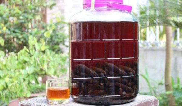 20+ cách làm rượu trái cây ngon đậm vị, dinh dưỡng tại nhà